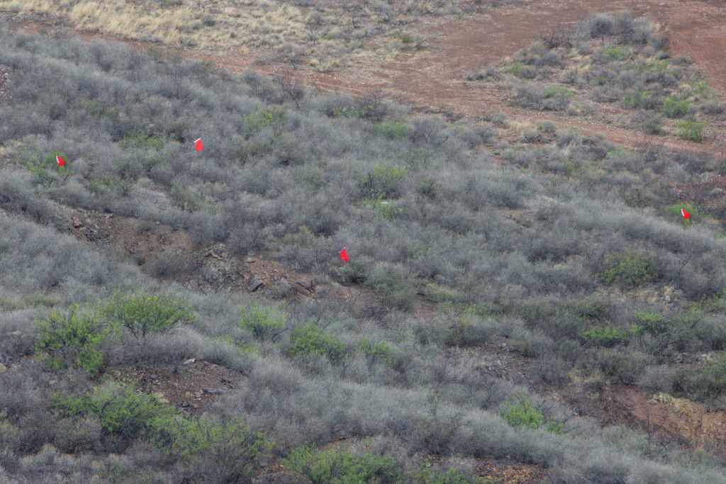 Our 50-State Border Crisis | Howard G. Buffett Foundation